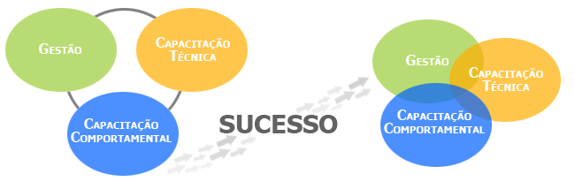 Desenvolvimento Organizacional Áreas De Atuação Decisa